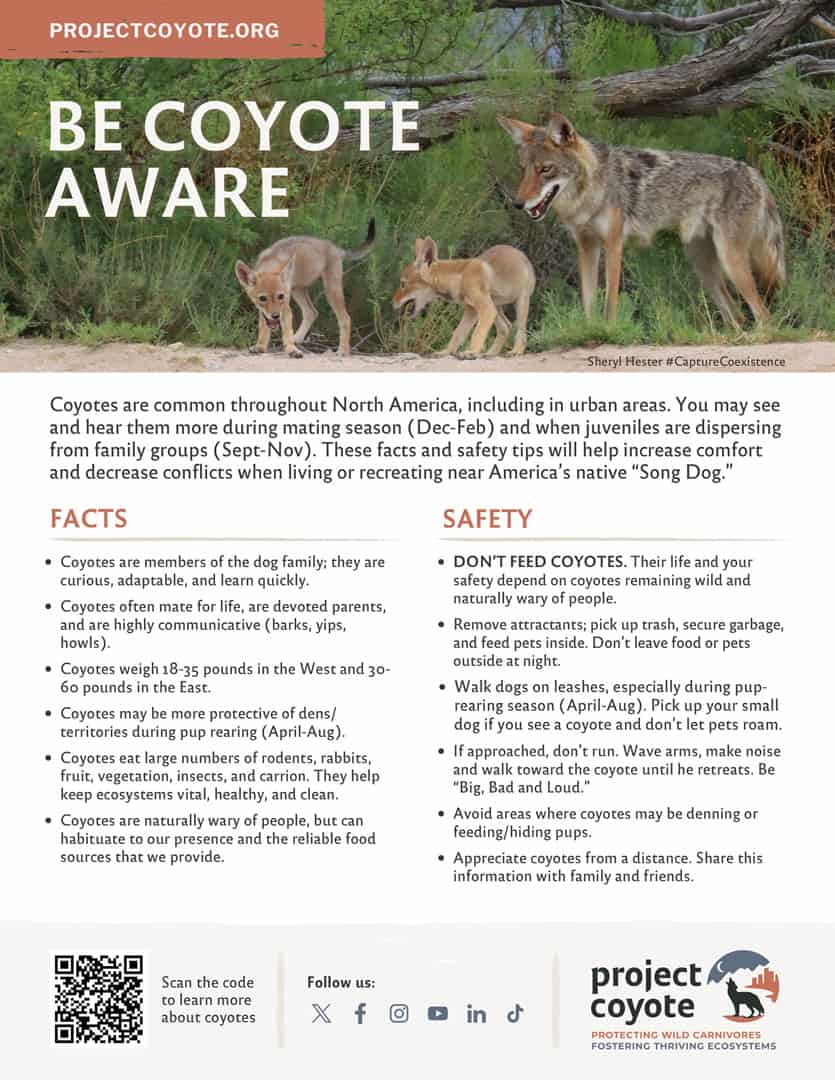 Be Coyote Aware Educational Sign - Project Coyote